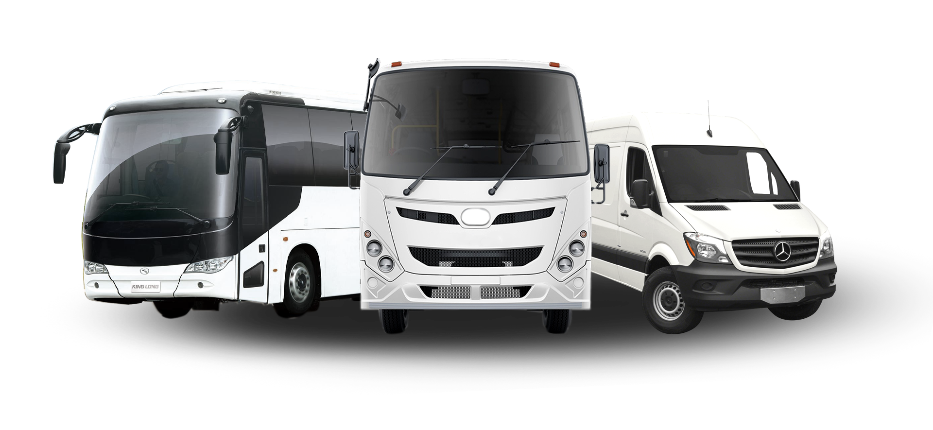 The Brisbane Coach Company | Experience Comfort and Reliability